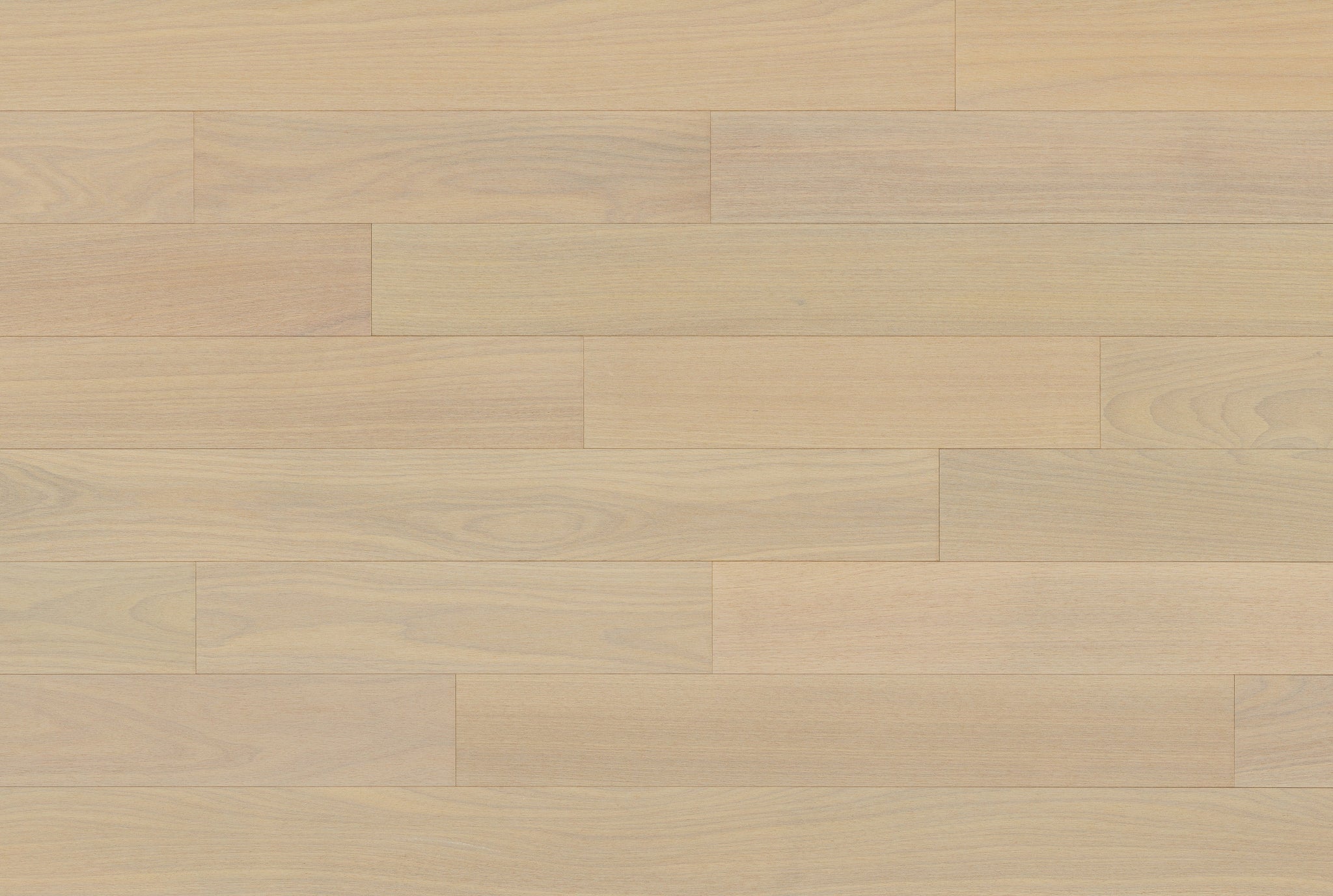 Brazilian Oak (Tauari) South Beach – Indusparquet